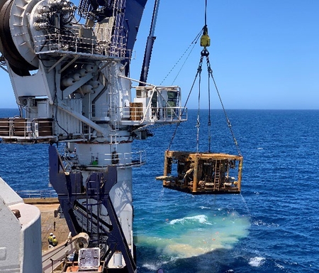 Woollybutt Decommissioning Support - Atteris